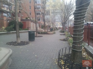 Homepage - Privately Owned Public Space (APOPS)